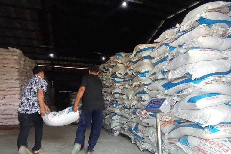 Kabar Gembira Petani! Harga Pupuk Subsidi Resmi Turun di 2026, Cek ...